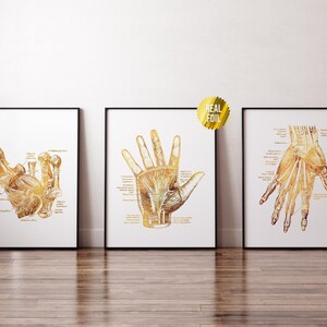 Vintage Hand Anatomy Art Foil Print Set of 3 - Orthopedic Hand Surgeon ...