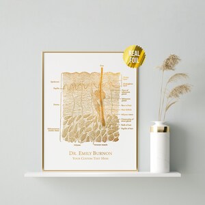 Personalized Dermatologist Gift Skin Anatomy Art Foil Print Set of 3 ...