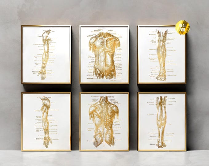 Skin Anatomy Art Dermatologist Gift Foil Print - Skin Care Anatomy ...