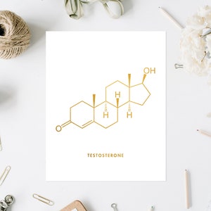Testosterone Molecule Art Foil Print - Endocrinology Medical Student ...