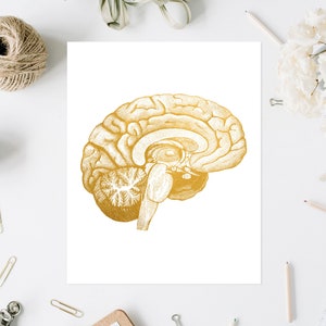 Neuroscience Art Brain Anatomy Foil Print Medical Student Gift ...