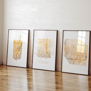 Personalized Dermatologist Gift Skin Anatomy Art Foil Print Set of 3 ...