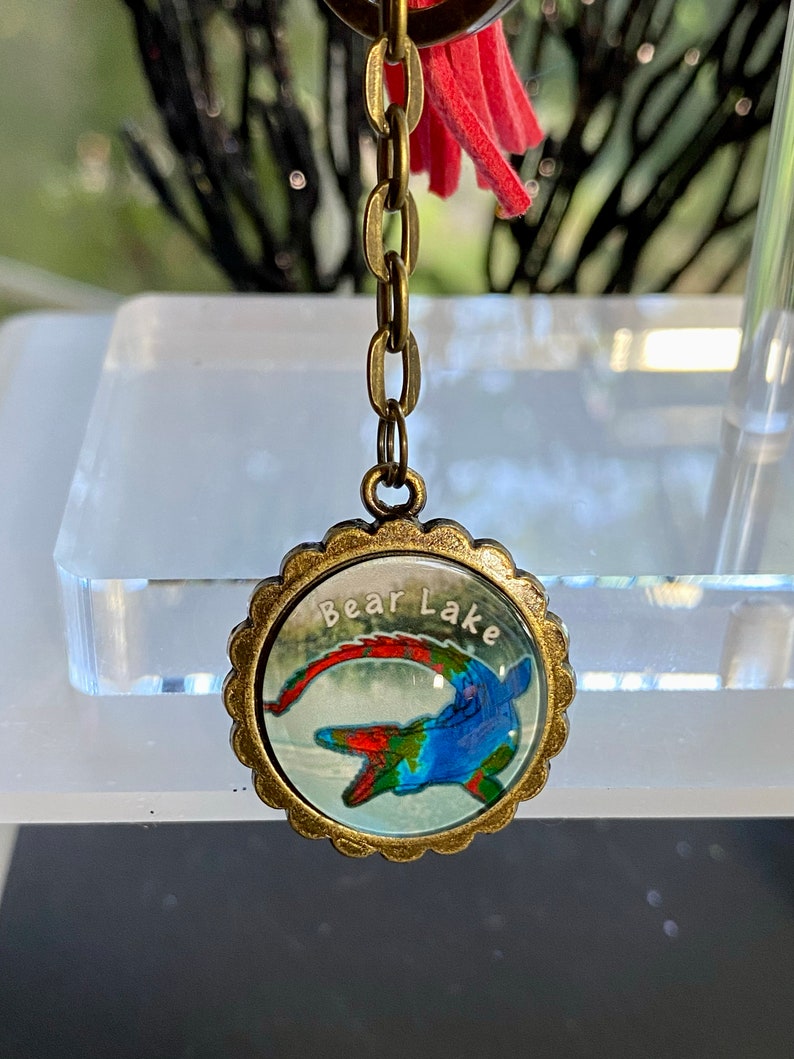 Nessie Cryptid Keyring, Loch Ness Nessie Purse Keychain, Bear Lake ...