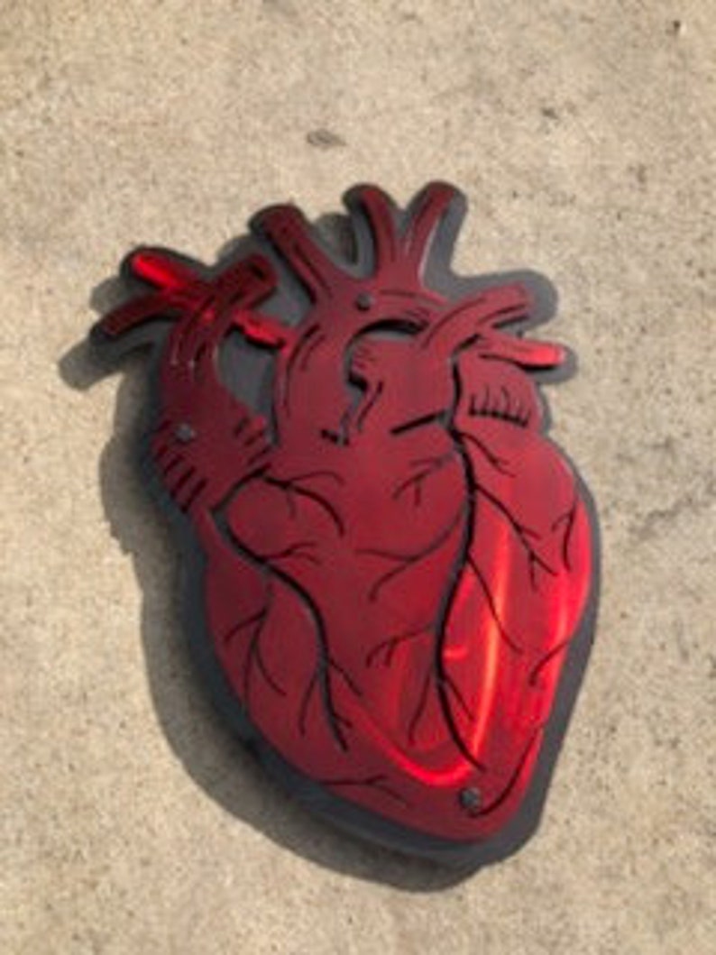 Metal Anatomical Heart Two Layer Plasma Cut Sign Art - Etsy