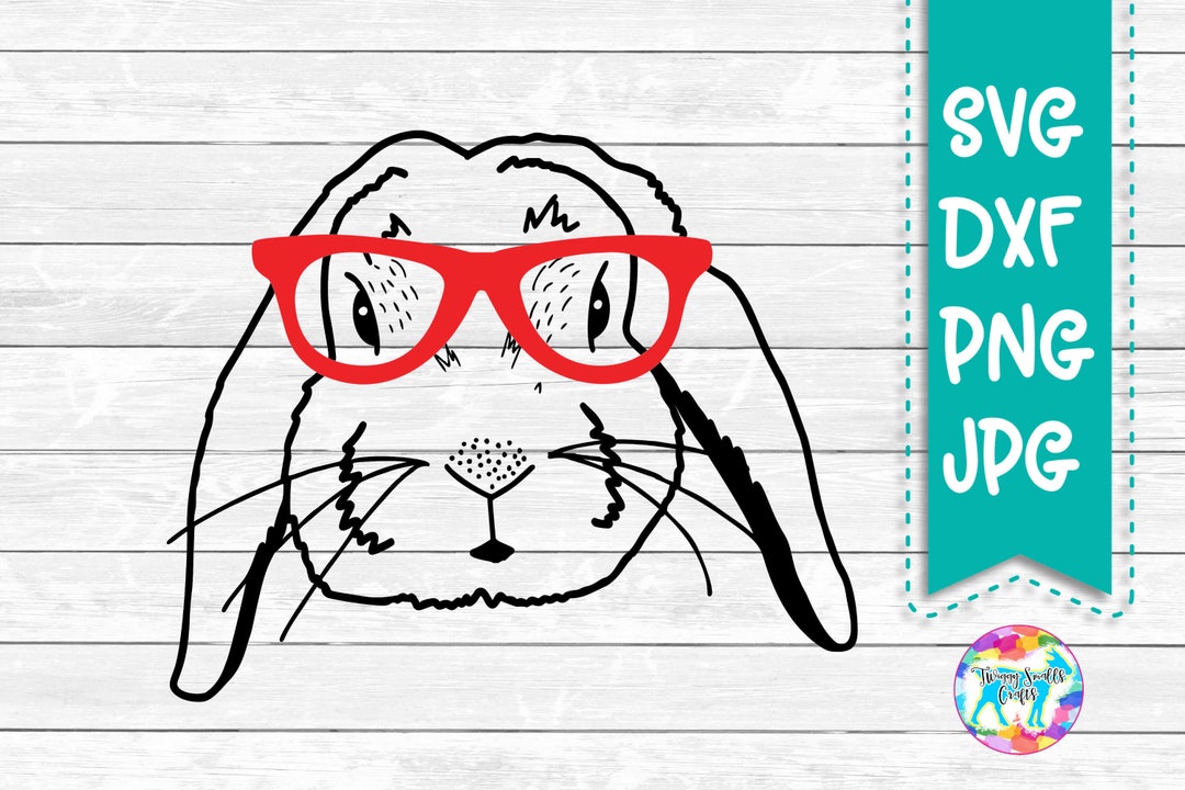 Rabbit, SVG, Floppy Ear, Bunny Svg, Animal With Glasses, DXF, PNG ...
