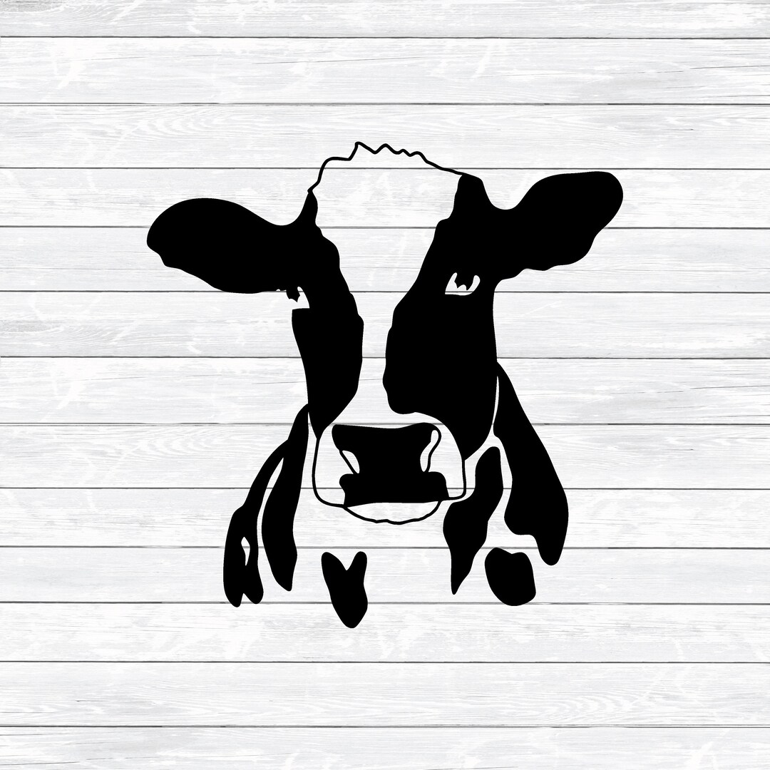 Heifer Svg, Cow Svg, Country Svg, Dairy Cow, Southern, Farm, Farmer ...