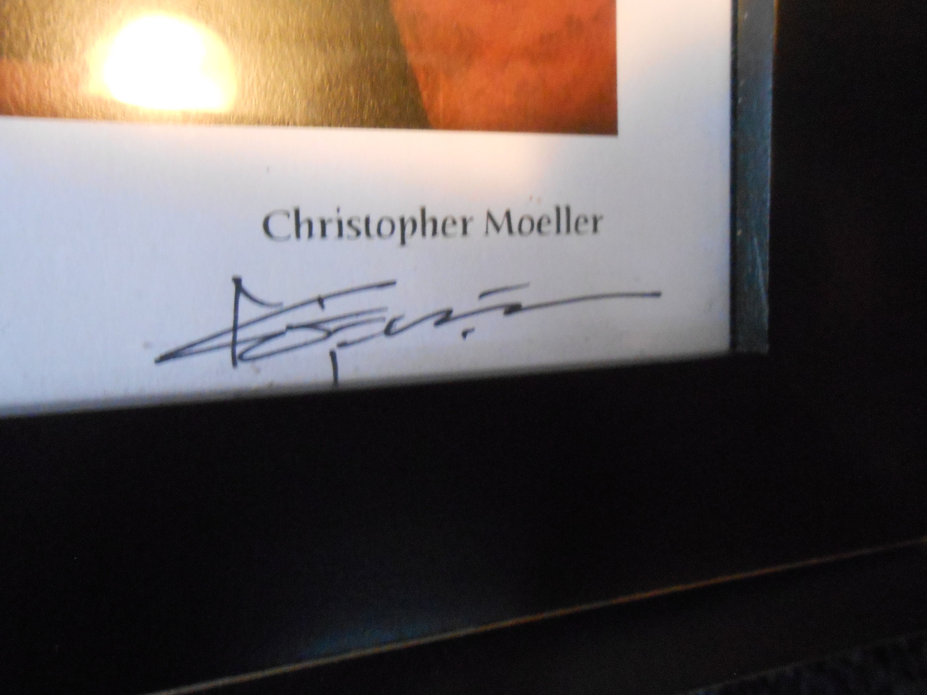FREE Shipping Magic the Gathering MTG Signed ART Christopher Moeller ...