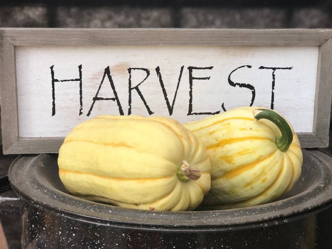 Rustic Harvest Wood Sign - Farmhouse Autumn Decor - Etsy