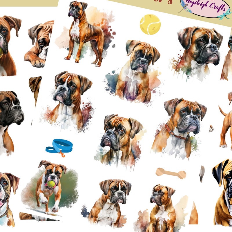 Boxer Sticker - Etsy