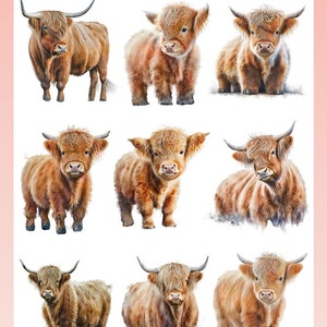 Highland Cow Stickers That Can Be Used for Scrapbooking, Crafting, Junk ...