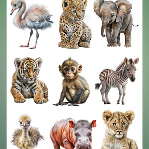 Safari Animal Stickers That Can Be Used for Scrapbooking, Crafting ...