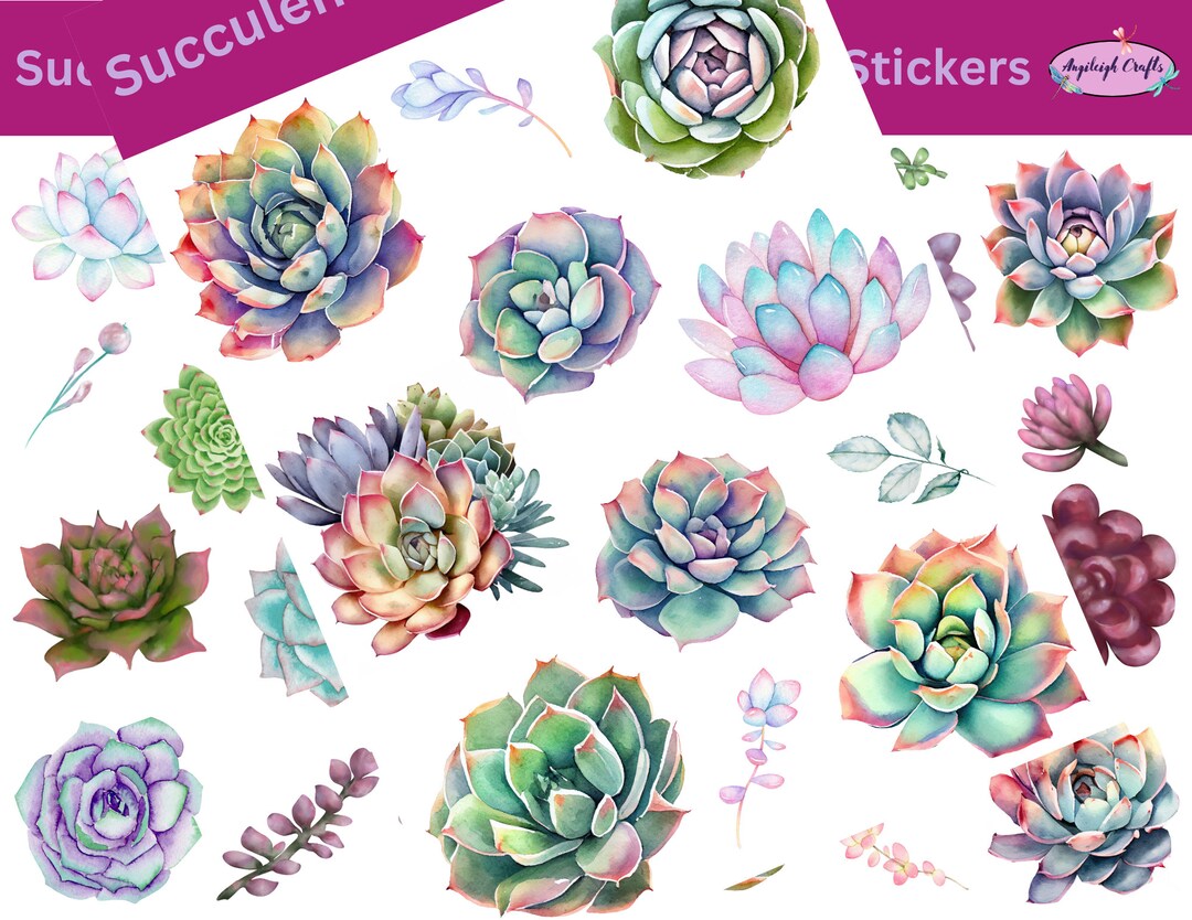 Succulent Plant Stickers That Can Be Used for Scrapbooking, Crafting ...