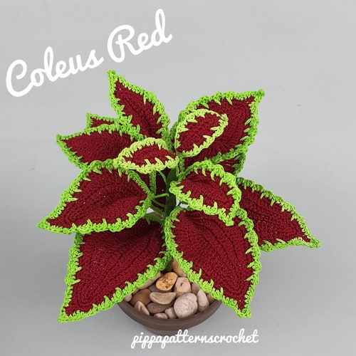 Crochet Coleus Pattern Photo Tutorial Crochet Coleus Plant | Etsy Australia