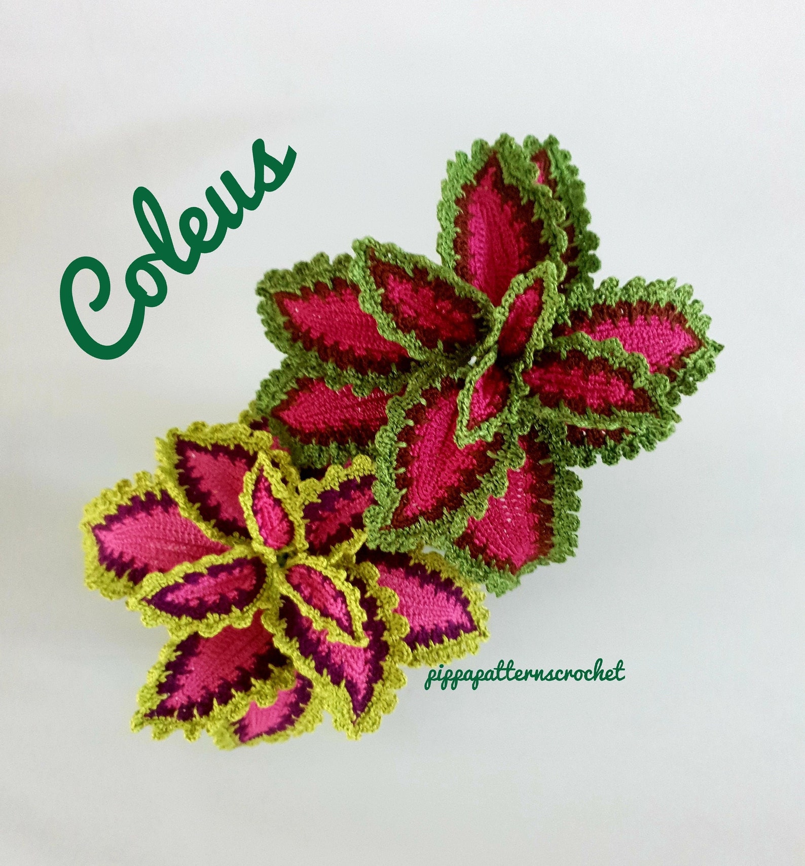 Crochet Coleus Pattern Photo Tutorial Crochet Coleus Plant | Etsy Australia