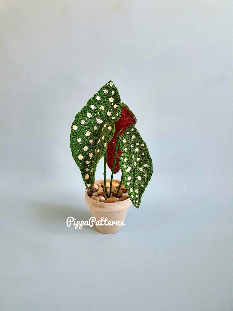Crochet Polka Dot Begonia Plant Pattern Photo Tutorial - Etsy