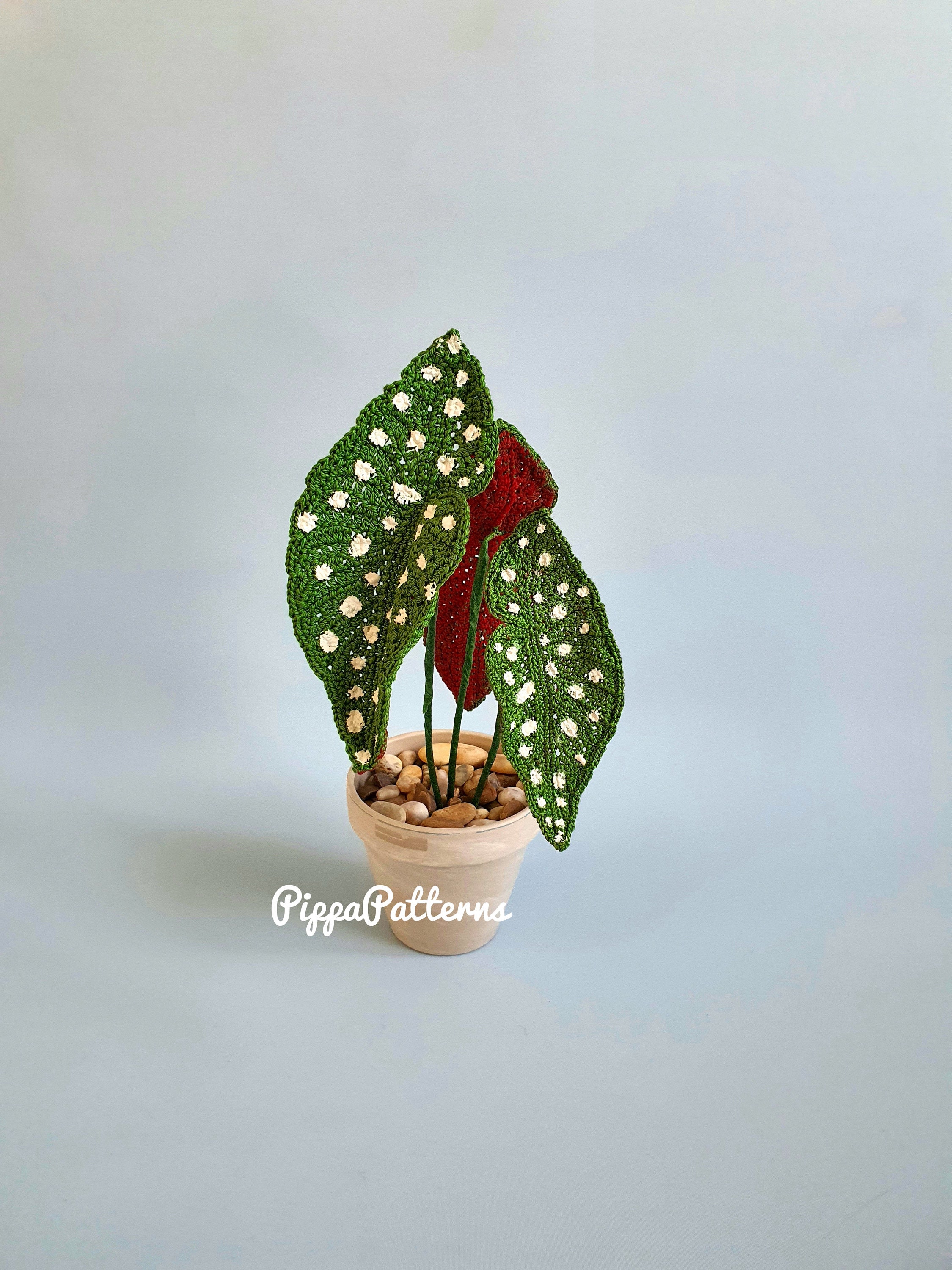 Crochet Polka Dot Begonia Plant Pattern Photo Tutorial - Etsy