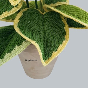 Crochet Hosta Plant Pattern: Photo Tutorial (PDF Pattern) - Etsy