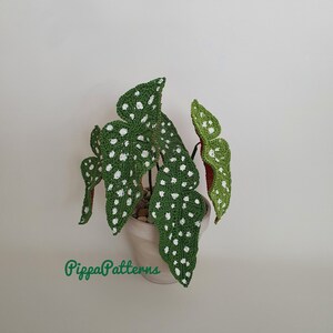 Crochet Polka Dot Begonia Plant Pattern: Photo Tutorial (PDF Pattern ...