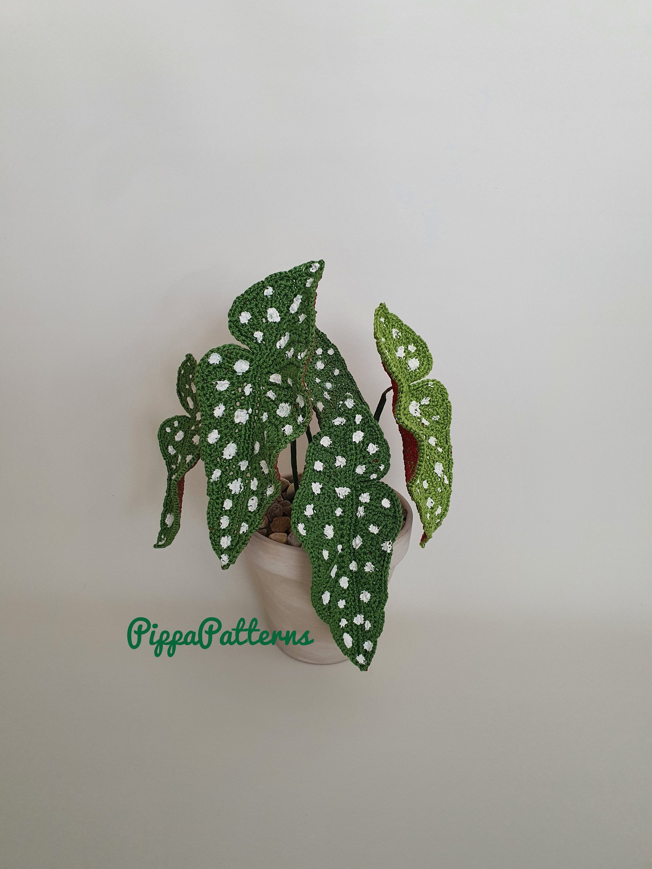 Crochet Polka Dot Begonia Plant Pattern Photo Tutorial - Etsy