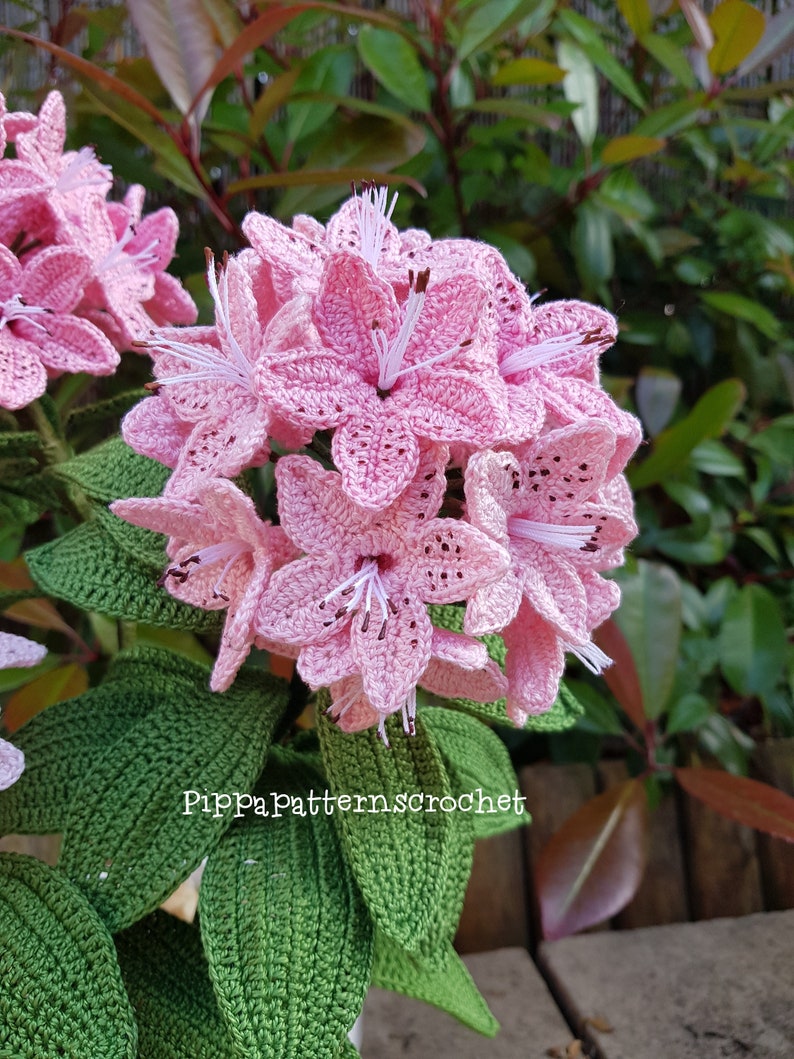 Crochet Rhododendron Flower Pattern Photo Tutorial Crochet | Etsy UK