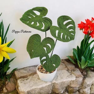 Crochet Monstera Plant Pattern: Photo Tutorial (PDF Pattern) - Etsy