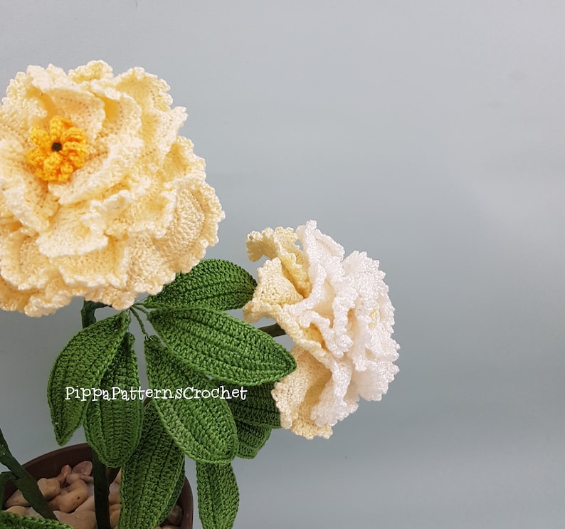 Crochet Peony Pattern Peony Crochet Flower Pattern | Etsy