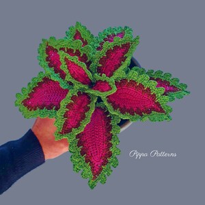 Crochet Coleus Plant Pattern: Photo Tutorial (PDF Pattern) - Etsy