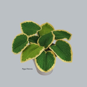 Crochet Hosta Plant Pattern: Photo Tutorial (PDF Pattern) - Etsy