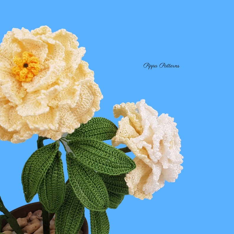 Crochet Peony Pattern Peony Crochet Flower Pattern - Etsy