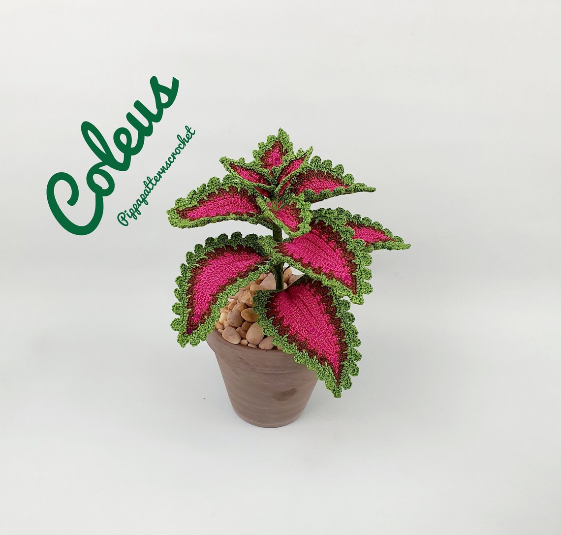 Crochet Coleus Pattern Photo Tutorial Crochet Coleus Plant | Etsy Australia
