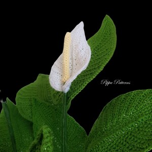 Crochet Peace Lily Pattern: Photo Tutorial (PDF Download) - Etsy UK