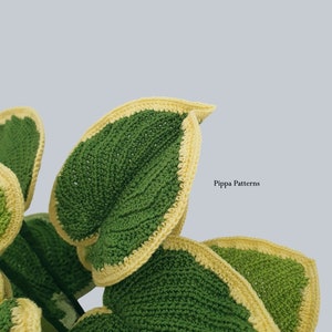 Crochet Hosta Plant Pattern: Photo Tutorial (PDF Pattern) - Etsy