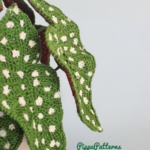 Crochet Polka Dot Begonia Plant Pattern: Photo Tutorial (PDF Pattern ...
