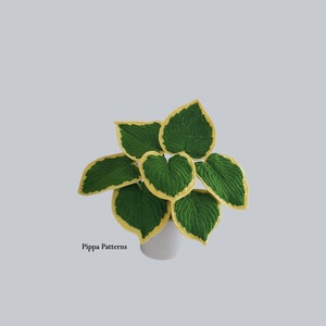Crochet Hosta Plant Pattern: Photo Tutorial (PDF Pattern) - Etsy
