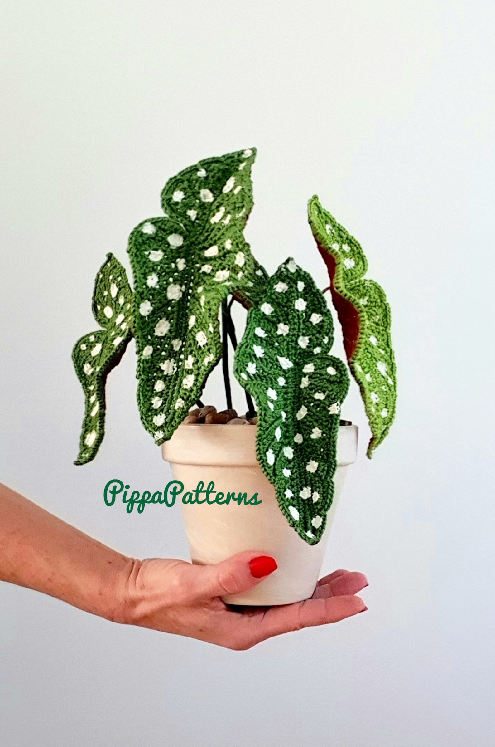 Crochet Polka Dot Begonia Plant Pattern Photo Tutorial - Etsy