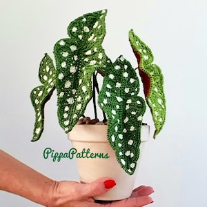 Crochet Polka Dot Begonia - Plant Pattern Photo Tutorial - Crochet ...