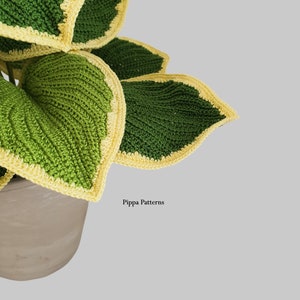 Crochet Hosta Plant Pattern: Photo Tutorial (PDF Pattern) - Etsy