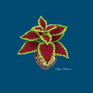 Crochet Coleus Plant Pattern: Photo Tutorial (PDF Pattern) - Etsy