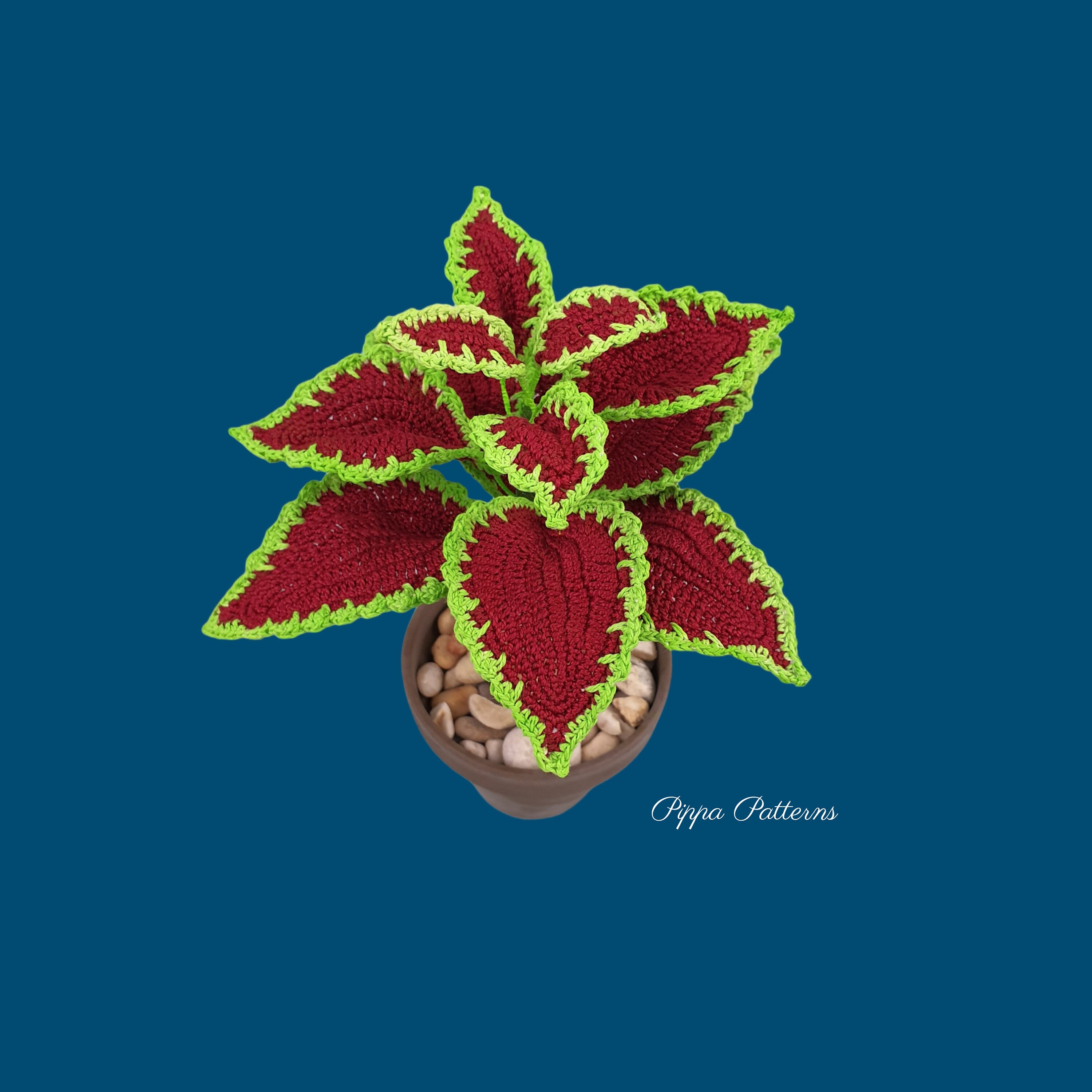 Crochet Coleus Plant Pattern: Photo Tutorial (PDF Pattern) - Etsy