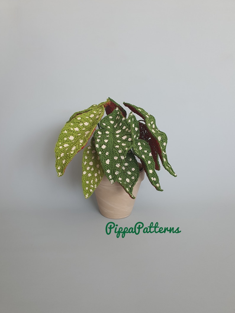 Crochet Polka Dot Begonia Plant Pattern: Photo Tutorial (PDF Pattern ...