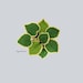 Crochet Hosta Plant Pattern: Photo Tutorial (PDF Pattern) - Etsy