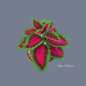 Crochet Coleus Plant Pattern: Photo Tutorial (PDF Pattern) - Etsy