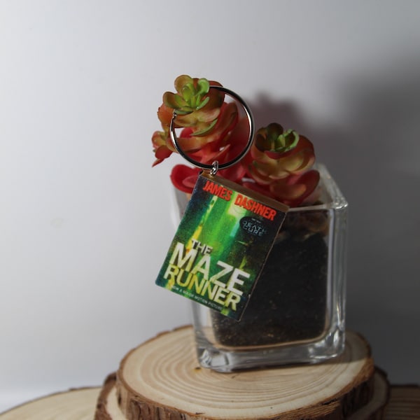 The Maze Runner - Etsy
