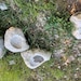 Boulder Bird Bath - Etsy