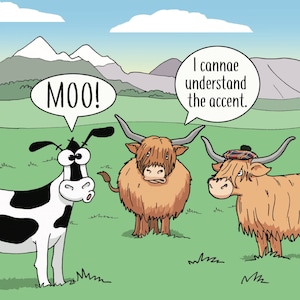 Funny Card With Highland Cows - Funny Scottish Blank Card - Funny ...