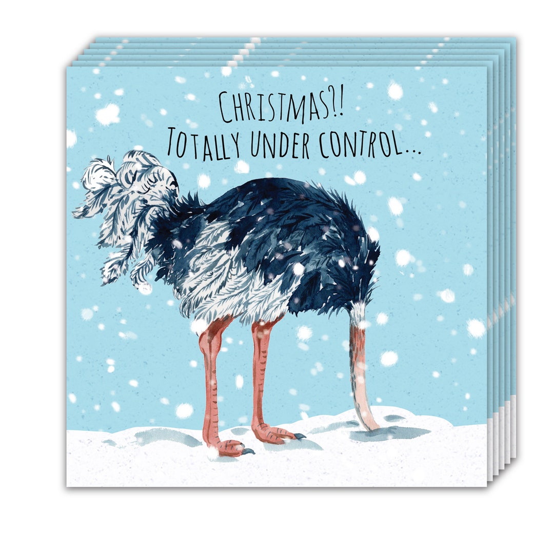 Pack of 10 Funny Christmas Cards Ostrich Design Merry Christmas Card ...