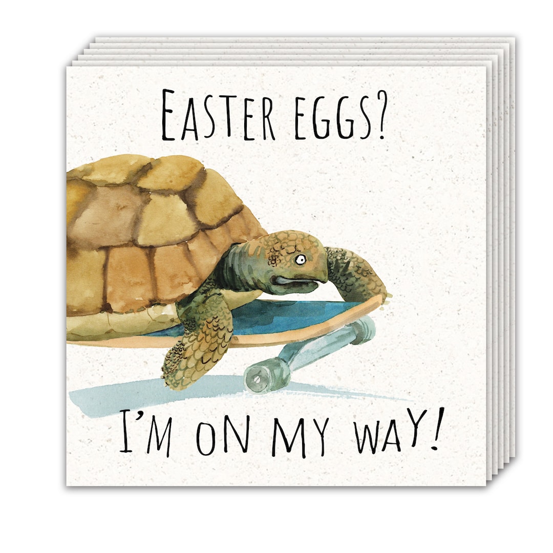 Pack of 10 Funny Easter Cards - Tortoise Design - Humour Easter Cards ...