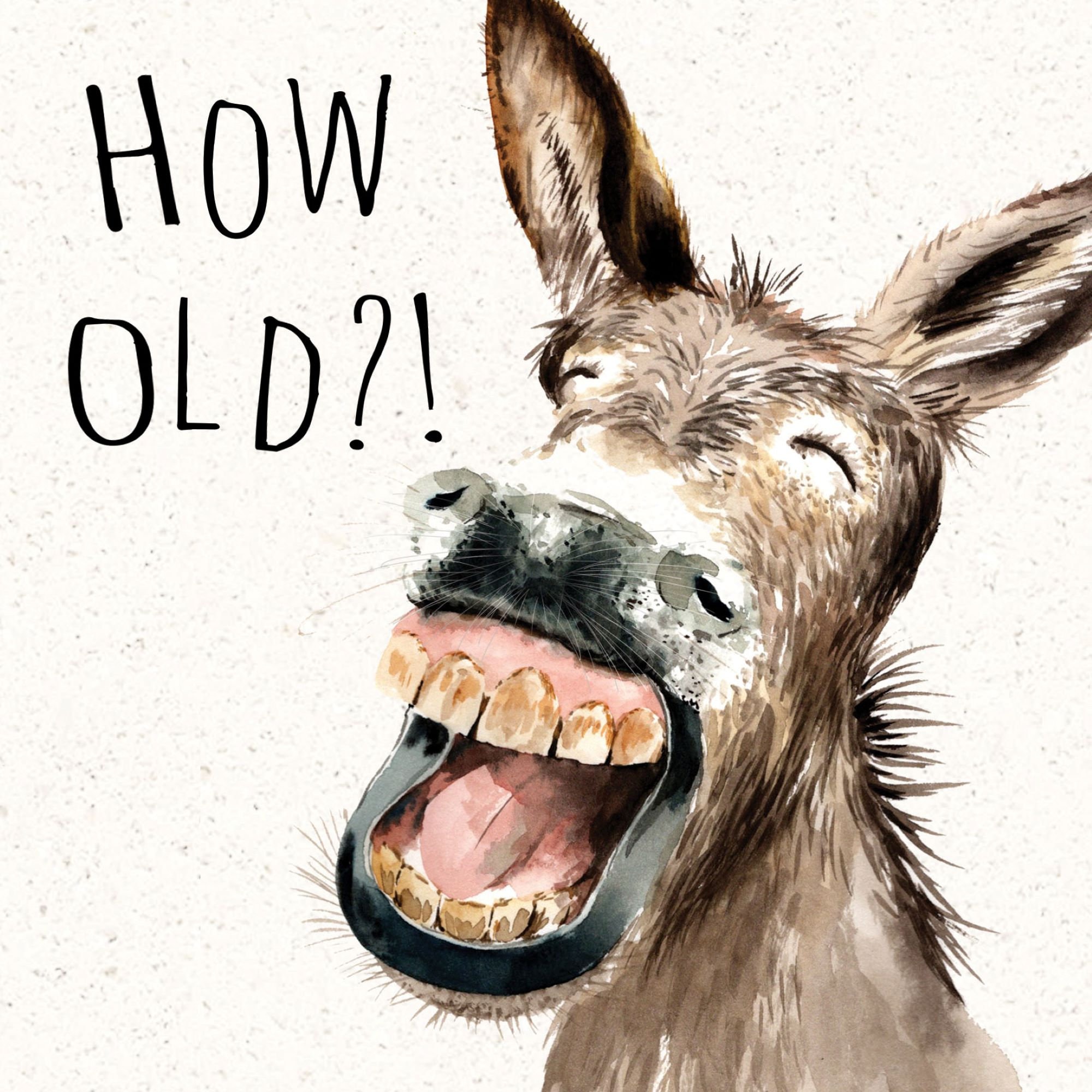 Funny Birthday Card Donkey Funny Birthday Card for Him - Etsy