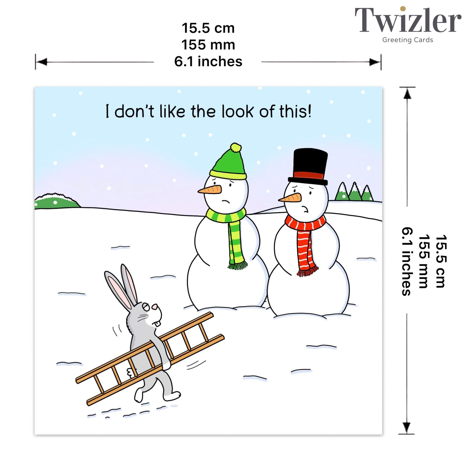 Funny Christmas Card Worried Snowmen - Merry Christmas Card Funny ...