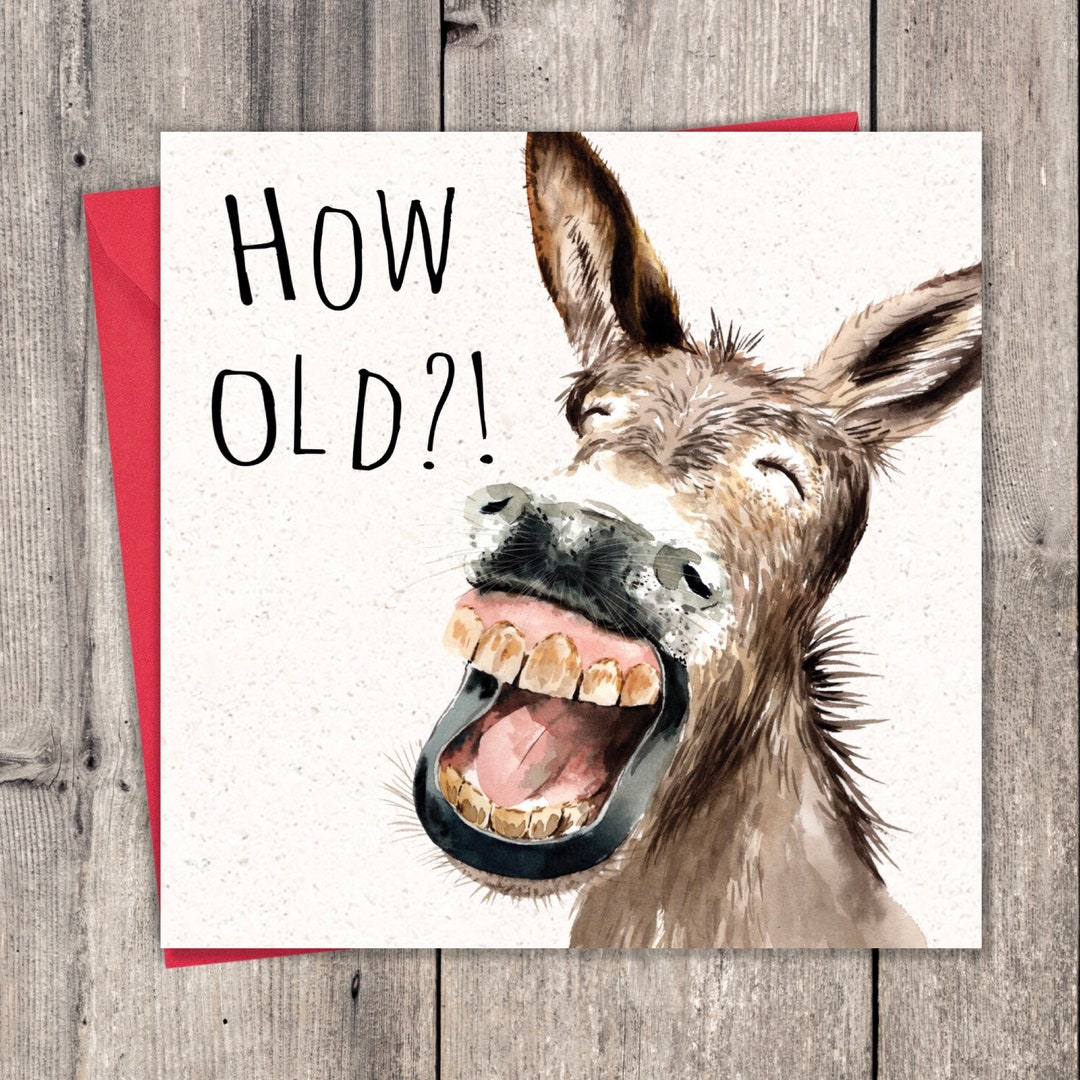 Funny Birthday Card Donkey – Funny Birthday Card for Him - Funny ...